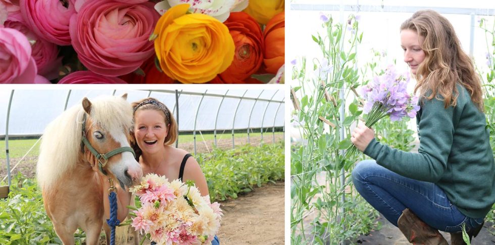 About | Forget Me Not