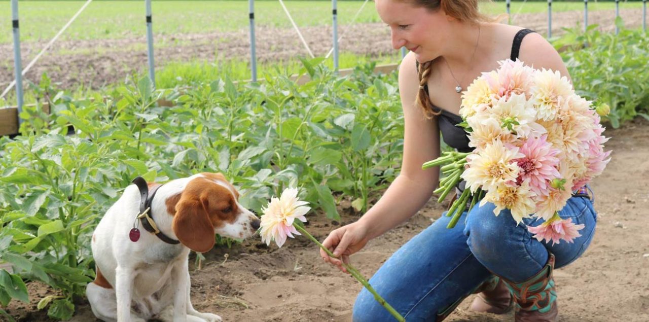 Contact | Forget Me Not